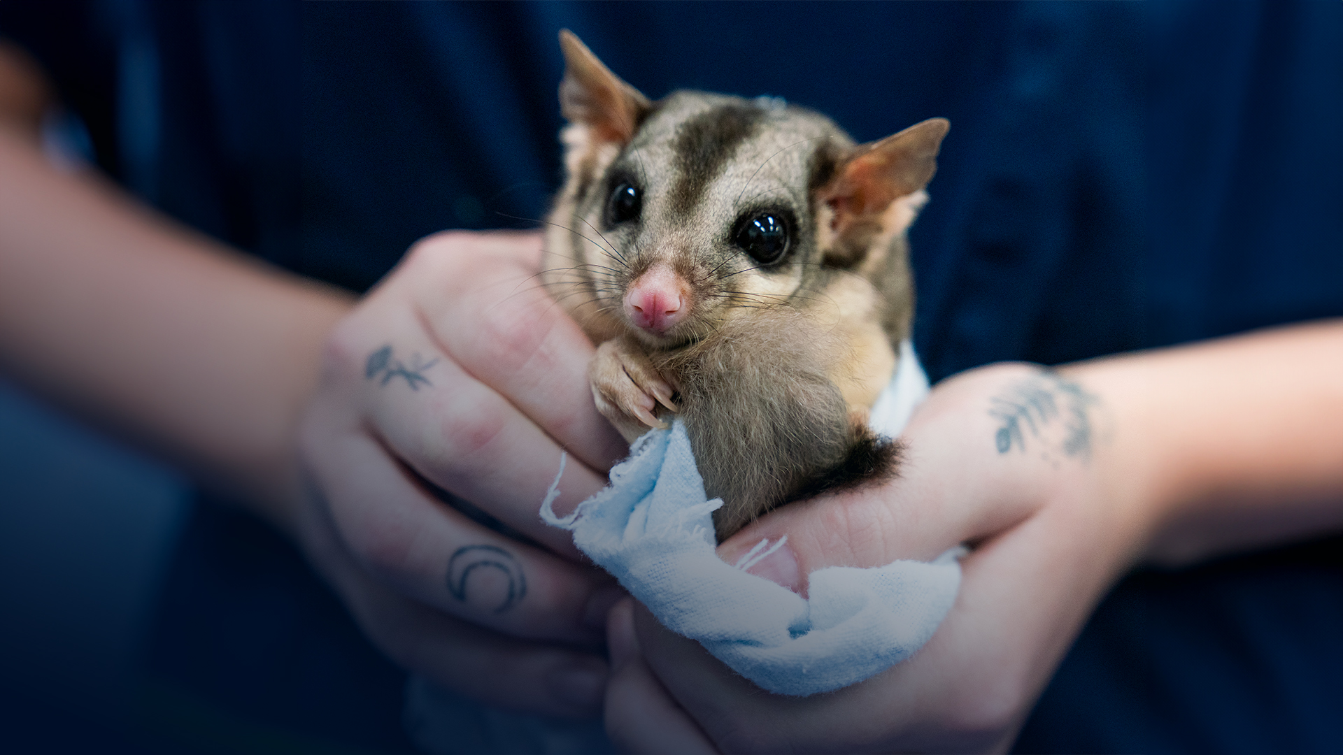 Home - Love Nature